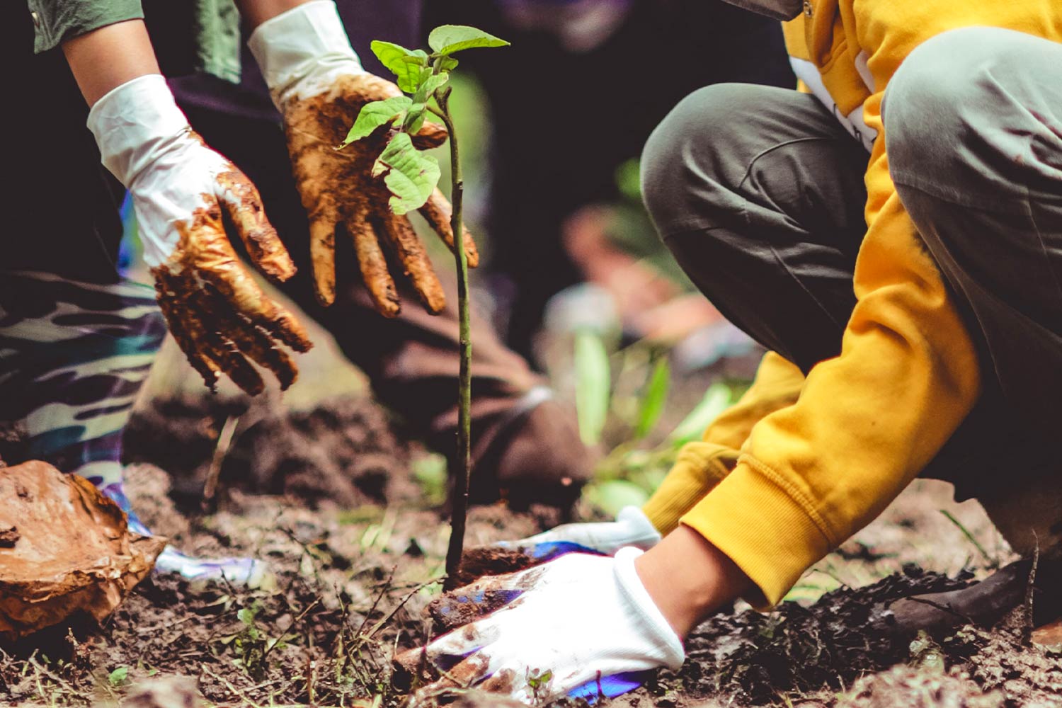 The Environment - Care for the Planet | Audacy Inc.